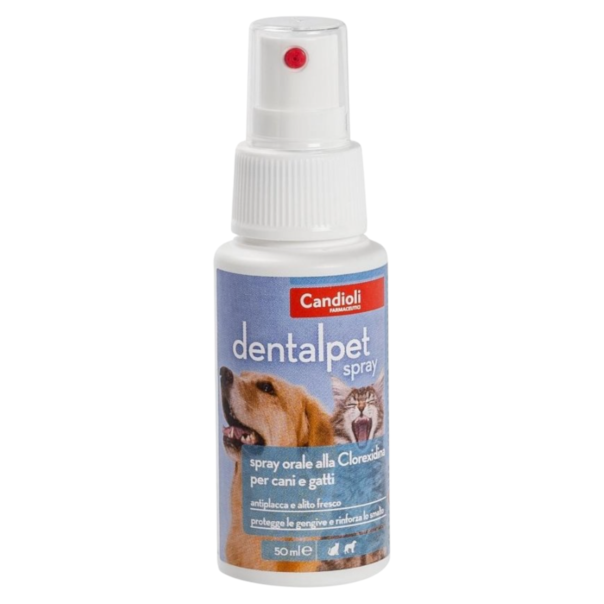 CANDIOLI DentalPet Spray Cane e Gatto Flacone 50ml – ZOO PET WORLD