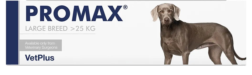 VETPLUS Promax Large +25Kg Cane – ZOO PET WORLD